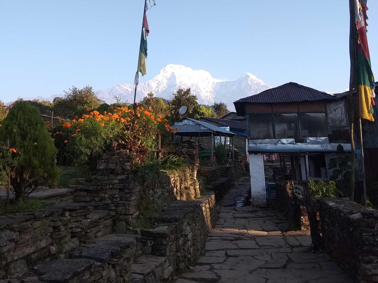 Mardi Himal Trek: A quest to meet the enchantress in Annapurna Region!